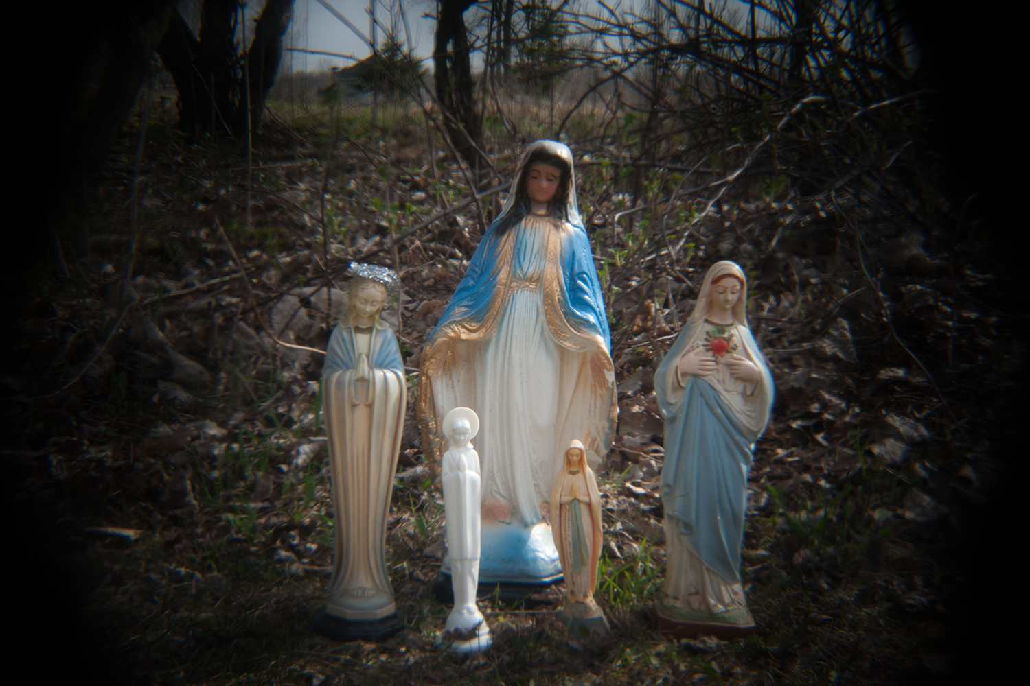 Pax Mortem | Kayla Bauer